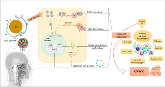 IJMS | Free Full-Text | Therapeutic Vaccines for HPV-Associated ...