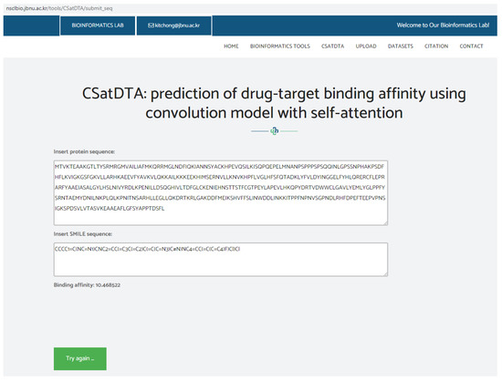 CSatDTA: Prediction of Drug–Target Binding Affinity Using Convolution Model with Self-Attention