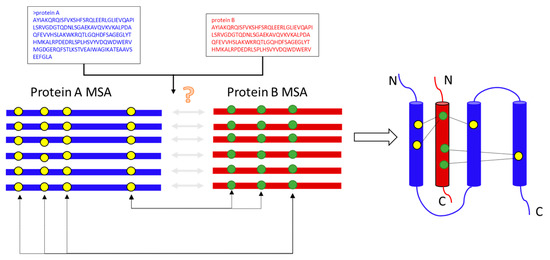 cpxDeepMSA: A Deep Cascade Algorithm for Constructing Multiple Sequence ...