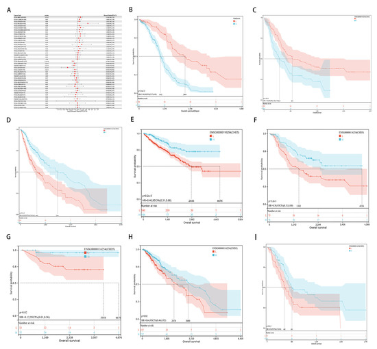 Pan-Cancer Analysis Identifies CHD5 as a Potential Biomarker for Glioma