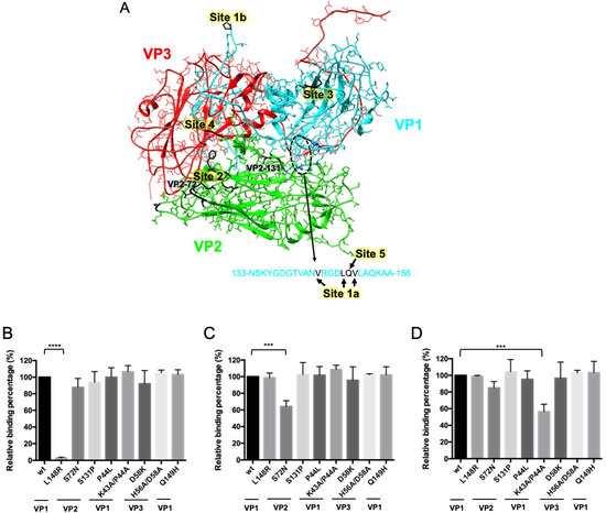 The Use of Distinctive Monoclonal Antibodies in FMD VLP- and P1-Based ...