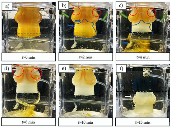 Biofabrication of Sodium Alginate Hydrogel Scaffolds for Heart Valve ...