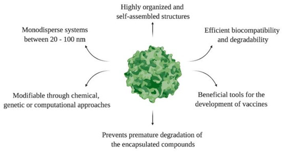Virus-like Particles: Fundamentals and Biomedical Applications