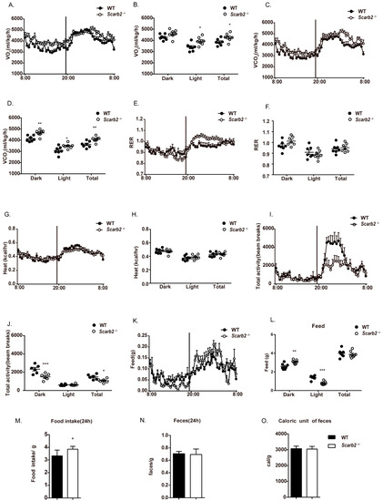 The Deficiency of SCARB2/LIMP-2 Impairs Metabolism via Disrupted mTORC1 ...
