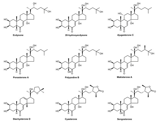 Phytoecdysteroids: Distribution, Structural Diversity, Biosynthesis ...