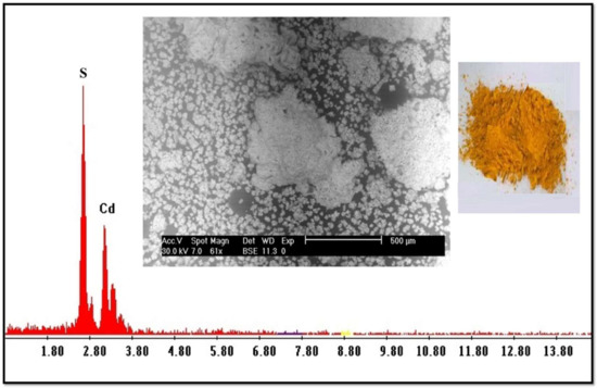 Selective Recovery of Cadmium, Cobalt, and Nickel from Spent Ni–Cd ...