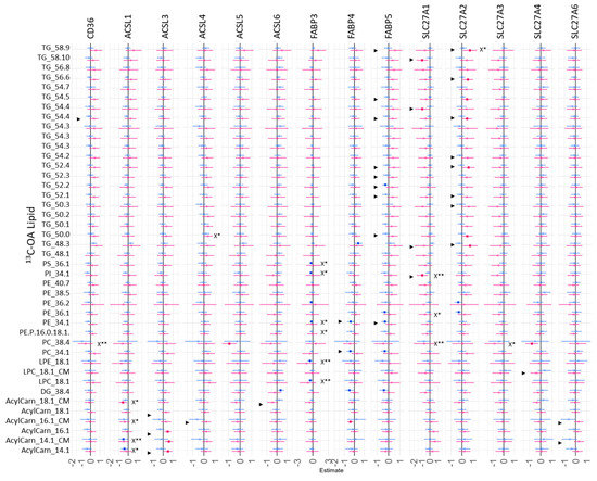 Ijms Free Full Text Sex Dependent Regulation Of Placental Oleic