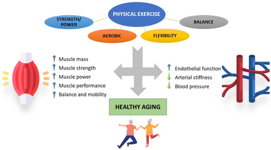 Effect of Physical Activity/Exercise on Oxidative Stress and ...