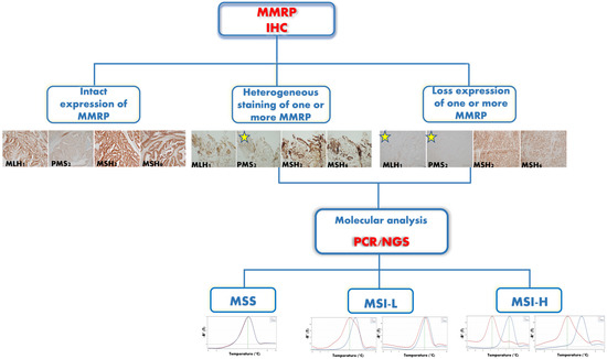 Microsatellite Instability: From the Implementation of the Detection to ...