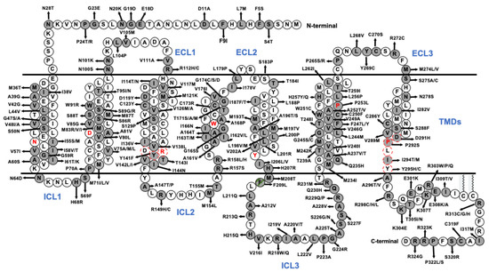 Melanocortin-5 Receptor: Pharmacology and Its Regulation of Energy ...