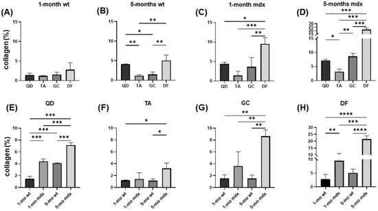 Characterisation of Progressive Skeletal Muscle Fibrosis in the Mdx ...
