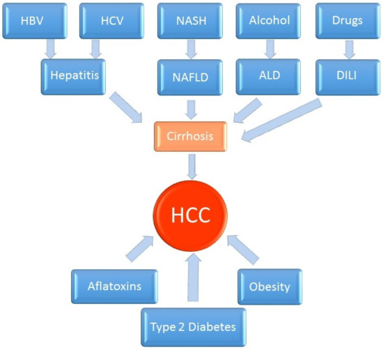 Chemokines in Primary Liver Cancer