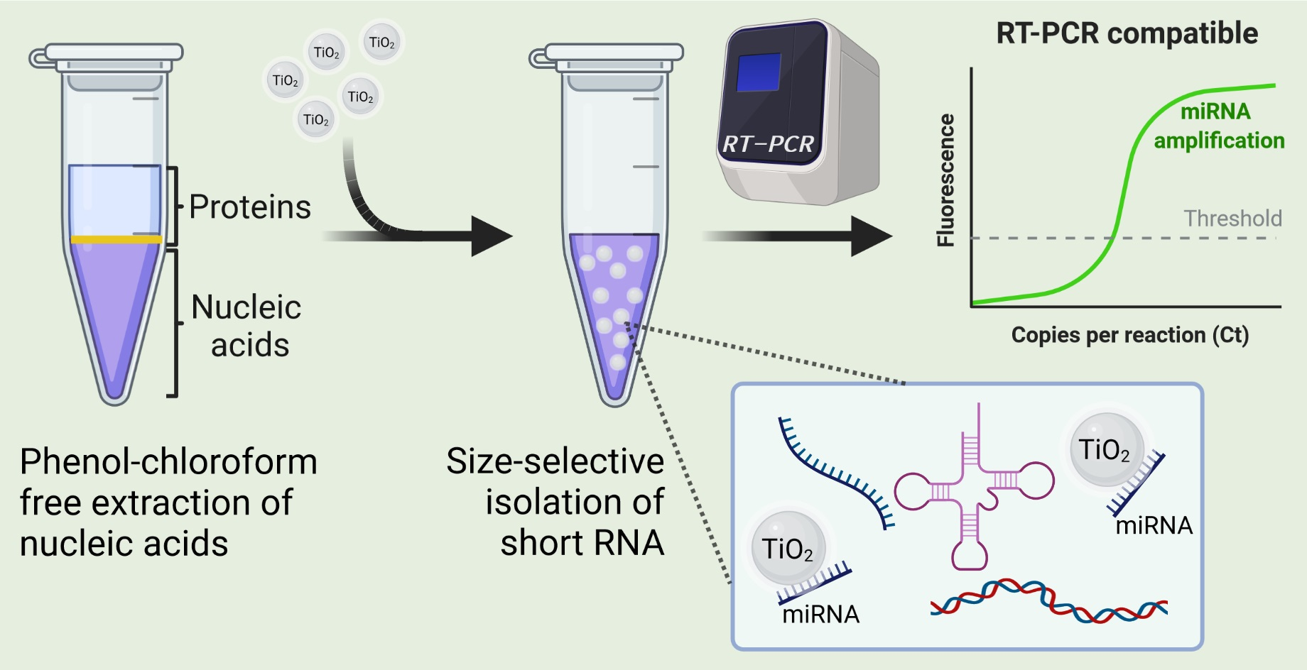 IJMS | Free Full-Text | Phenol/Chloroform-Free TiO2-Based miRNA ...