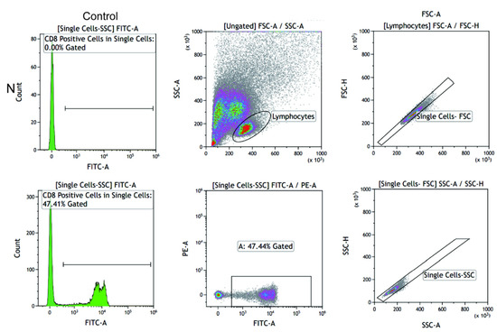 Ijms Free Full Text The Role Of Cd28 And Cd8 T Cells In Keloid