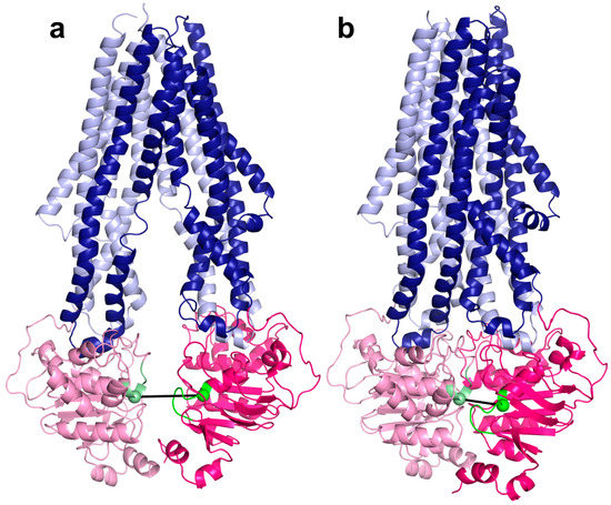 IJMS | Free Full-Text | Comprehensive Collection and Prediction of ABC ...