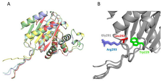 Efficient Base-Catalyzed Kemp Elimination in an Engineered Ancestral Enzyme