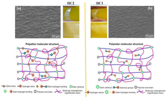 IJMS | Free Full-Text | Bio-Based Degradable Poly(ether-ester)s from ...