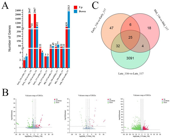 Transcriptome Analysis to Identify Genes Related to Flowering Reversion ...