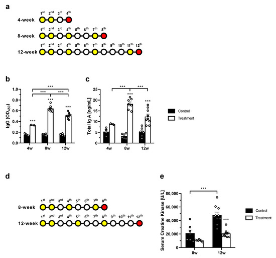 A New Method of Myostatin Inhibition in Mice via Oral Administration of ...