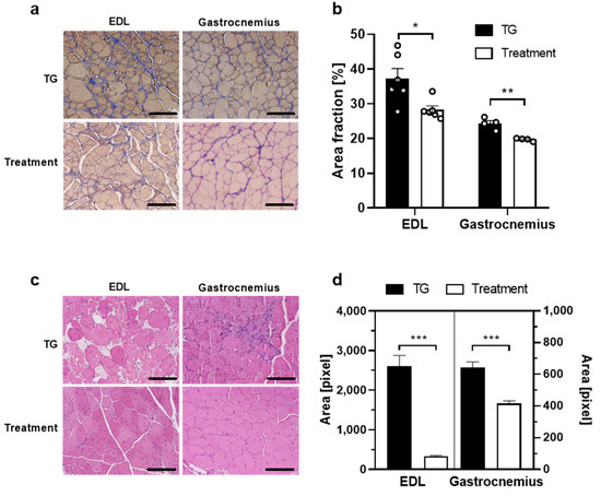 A New Method of Myostatin Inhibition in Mice via Oral Administration of ...