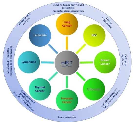 IJMS | Special Issue : Role of MicroRNAs in Cancer Development and ...