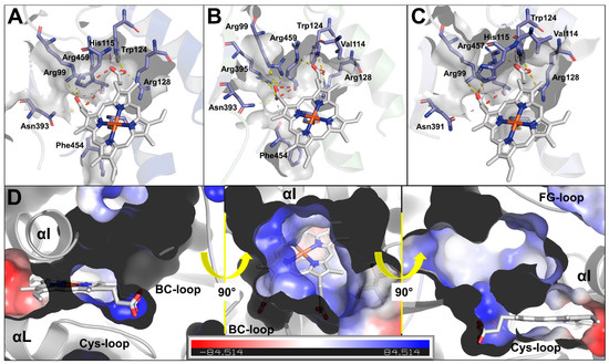 International Journal of Molecular Sciences | An Open Access Journal ...