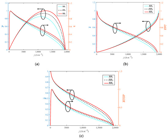 International Journal of Molecular Sciences | An Open Access Journal ...