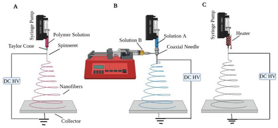 Electrospun Biomimetic Nanofibrous Scaffolds: A Promising Prospect for ...