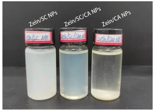 Fabrication, Characterization, and Antimicrobial Activity of Carvacrol ...