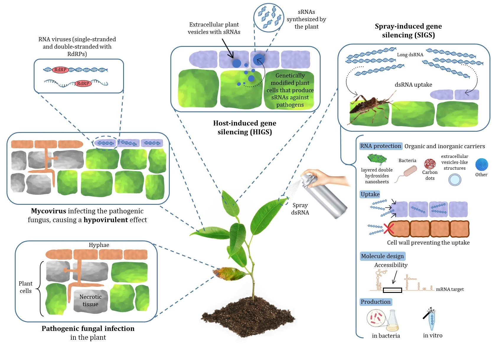 IJMS | Free Full-Text | New Insights on the Integrated Management of ...