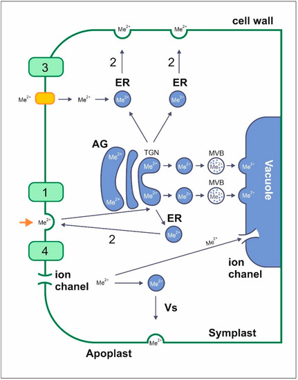 IJMS | Free Full-Text | Natural Molecular Mechanisms of Plant ...
