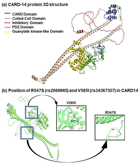 Association of CARD14 Single-Nucleotide Polymorphisms with Psoriasis
