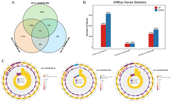 Integrative Metabolome and Transcriptome Analysis Reveals the Regulatory Network of Flavonoid ...