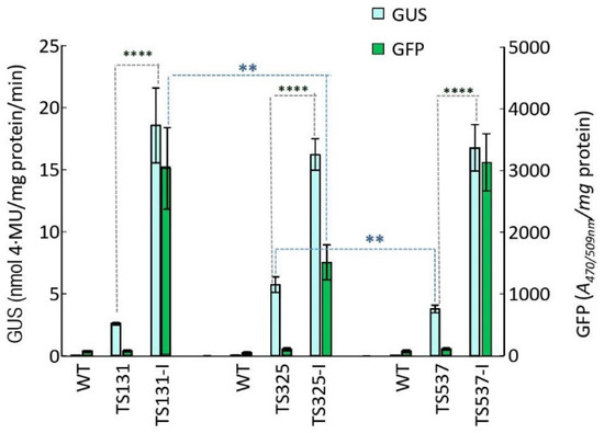 IJMS | Special Issue : Rice Molecular Breeding and Genetics