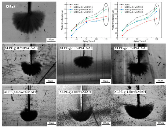 Water-Tree Characteristics and Its Mechanical Mechanism of Crosslinked ...