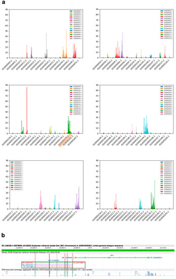 Whole-Genome Inter-Sex Variation in Russian Sturgeon (Acipenser ...