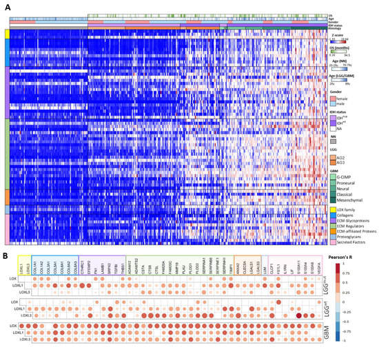 Correlation of Matrisome-Associatted Gene Expressions with LOX Family ...