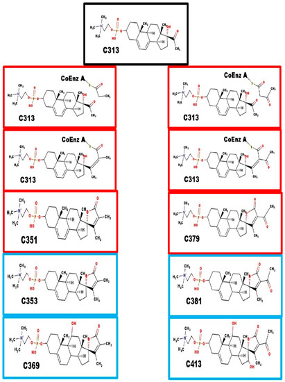 An Introduction to Spiral Steroids
