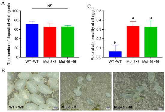 Vitelline Membrane Protein 26 Mutagenesis, Using CRISPR/Cas9, Results ...