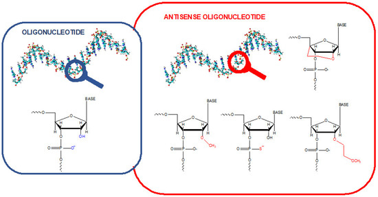 Oligonucleotides Isolation and Separation—A Review on Adsorbent Selection
