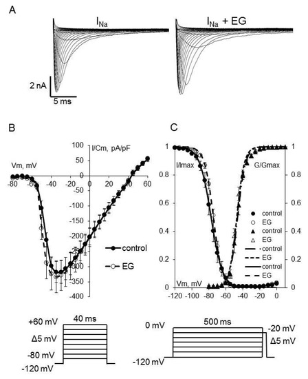 SGLT2 Inhibitor Empagliflozin Modulates Ion Channels in Adult Zebrafish ...