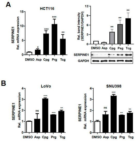 Secretory SERPINE1 Expression Is Increased by Antiplatelet Therapy ...