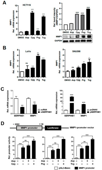 Secretory SERPINE1 Expression Is Increased by Antiplatelet Therapy ...