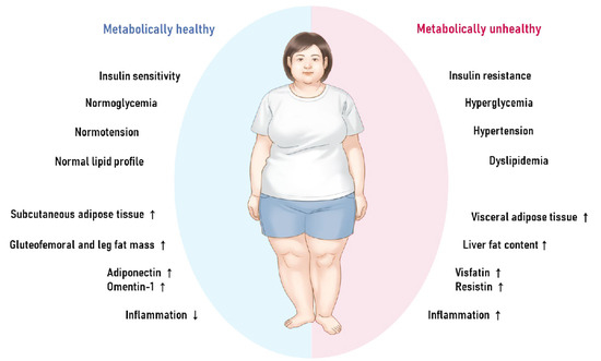 Pathogenesis, Murine Models, and Clinical Implications of Metabolically ...