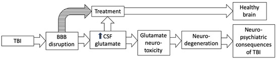 Glutamate Neurotoxicity and Destruction of the Blood–Brain Barrier: Key ...