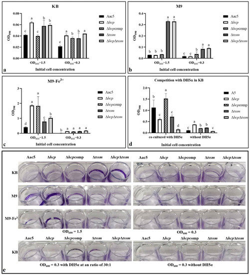 Hcp of the Type VI Secretion System (T6SS) in Acidovorax citrulli Group ...