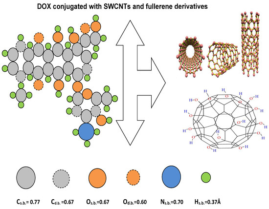 IJMS | Free Full-Text | Fullerene Derivatives (CN-[OH]β) and Single ...