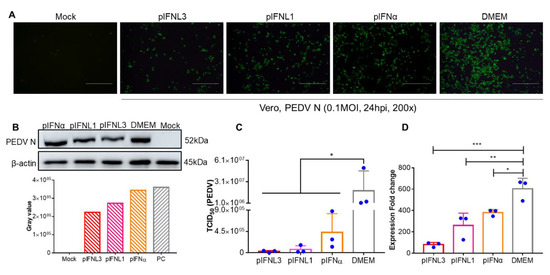 Antiviral Effect of pIFNLs against PEDV and VSV Infection in Different ...