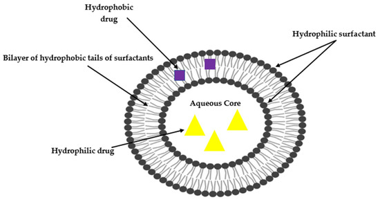 IJMS | Free Full-Text | Current Advances in Specialised Niosomal Drug ...