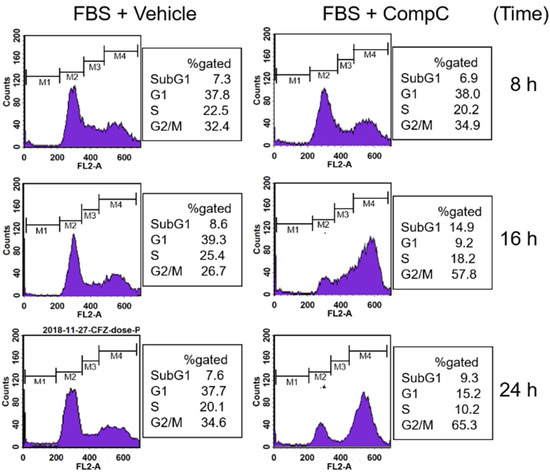 Compound C Inhibits Renca Renal Epithelial Carcinoma Growth in ...